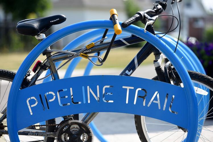 Discover five scenic spots to cycle in Hamilton