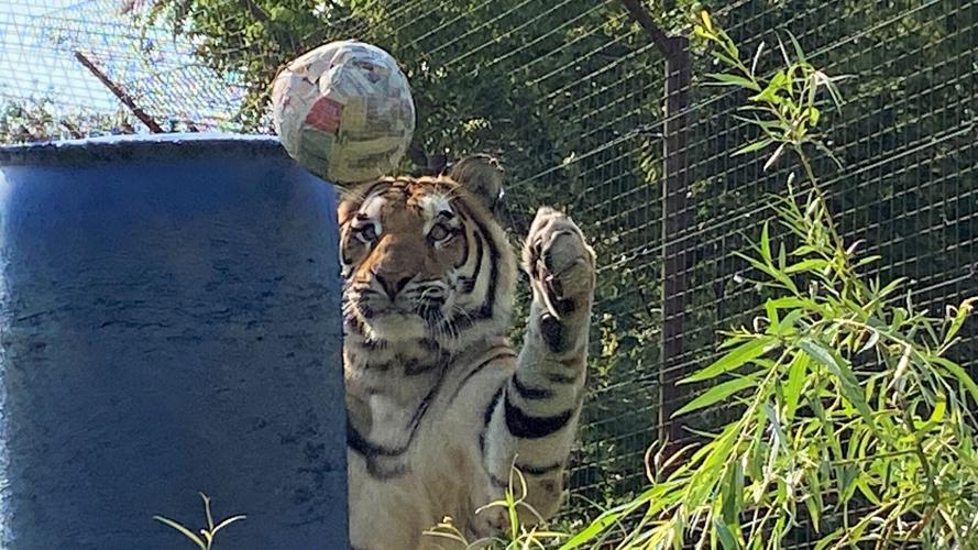 Family feud erupts over ownership of Twin Valley Zoo