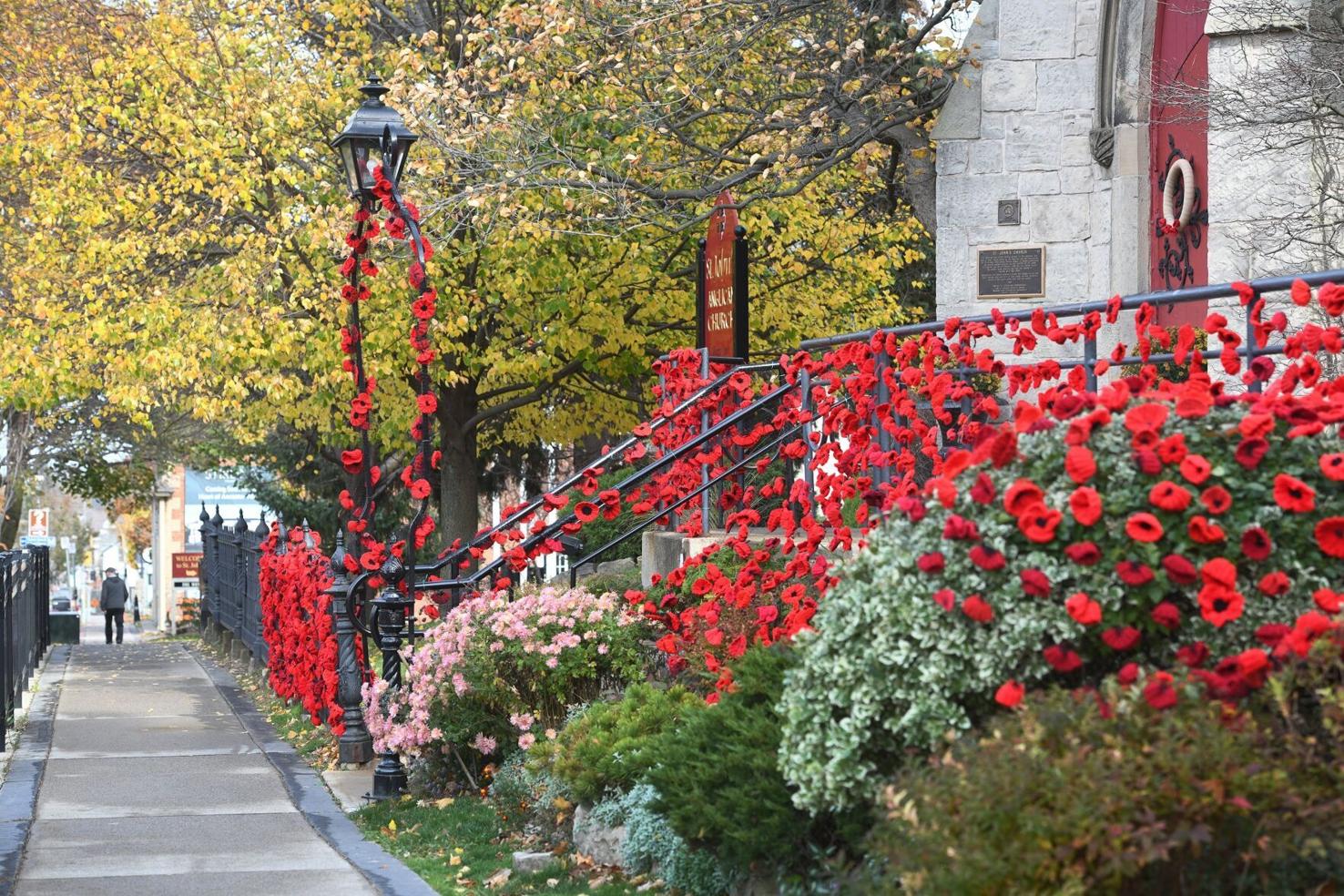 5,000 poppies drape Ancaster church for Remembrance Day