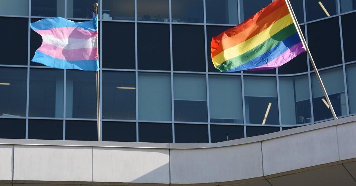 ‘This is about recognition’: Hamilton LGBTQ committee backs city flag ...