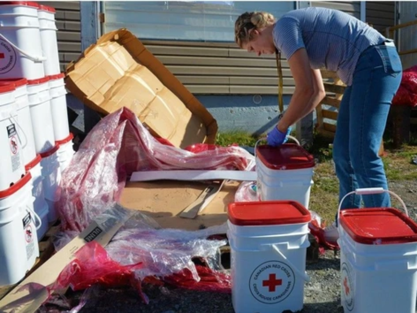 Forensic audit, investigation into Canadian Red Cross requested by NL ...