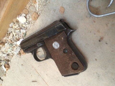 Guns found in attic of Hamilton mobster Frank Papalia's old home