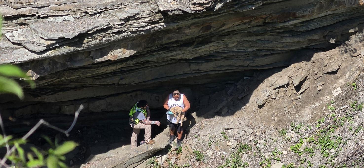 Dream Team makes ‘wild rescue’ of pup at Buttermilk Falls