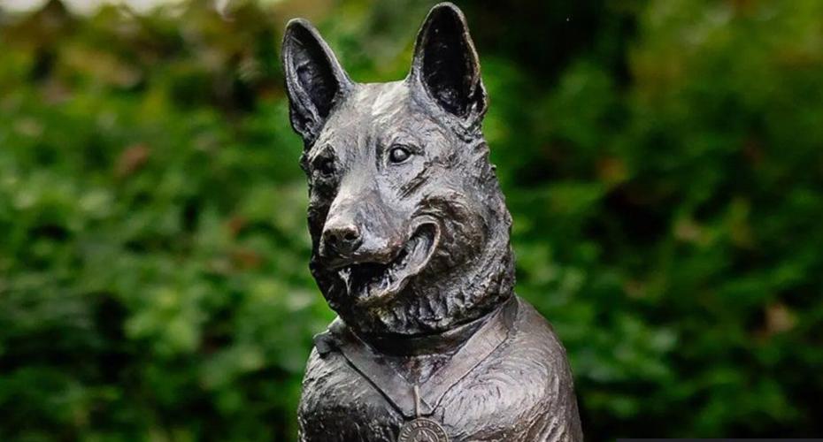 The best news: Ivie-May saves the day, and our falcon soars