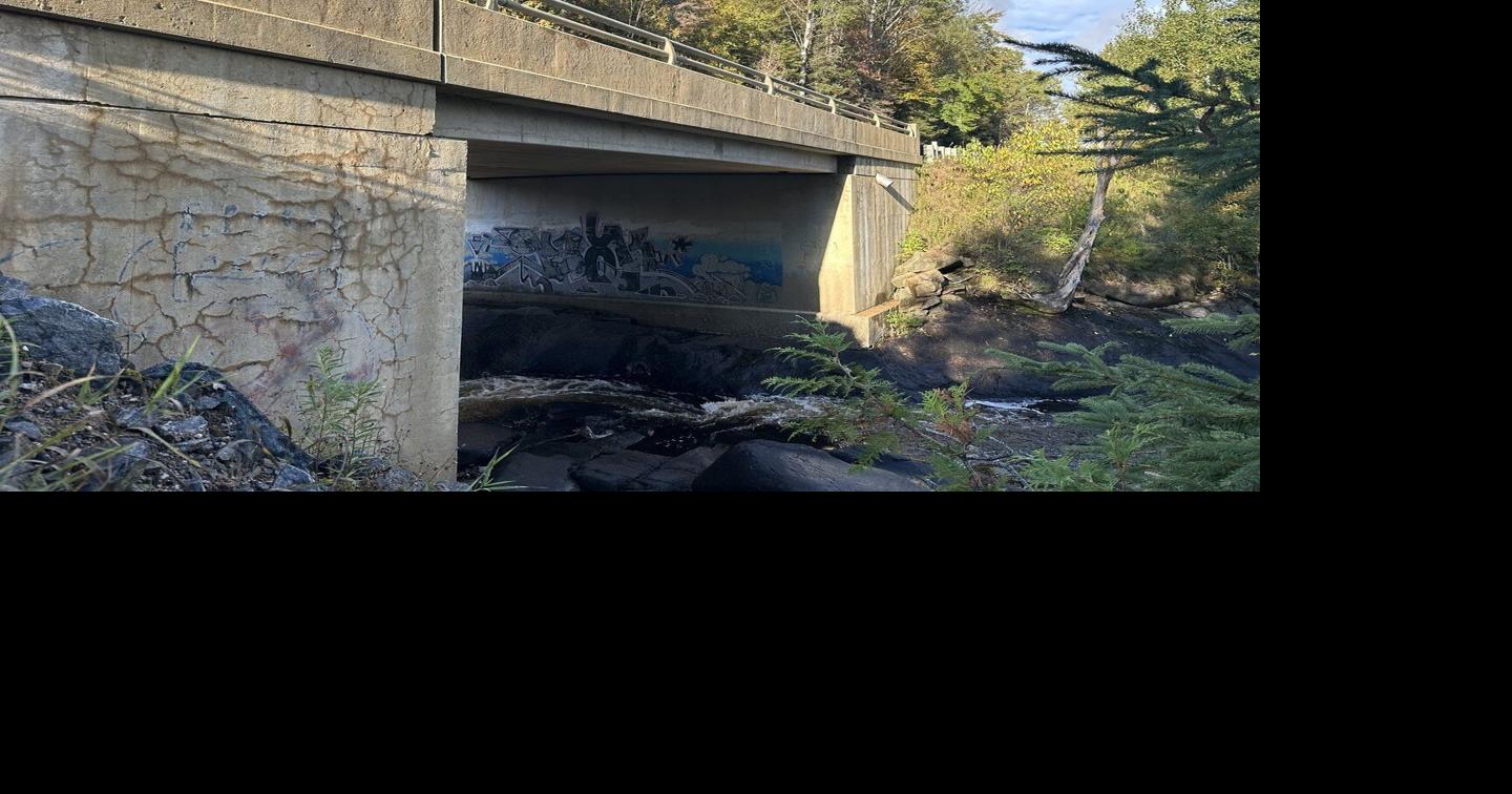 Armour bridge repair to proceed as municipality pursues disaster ...