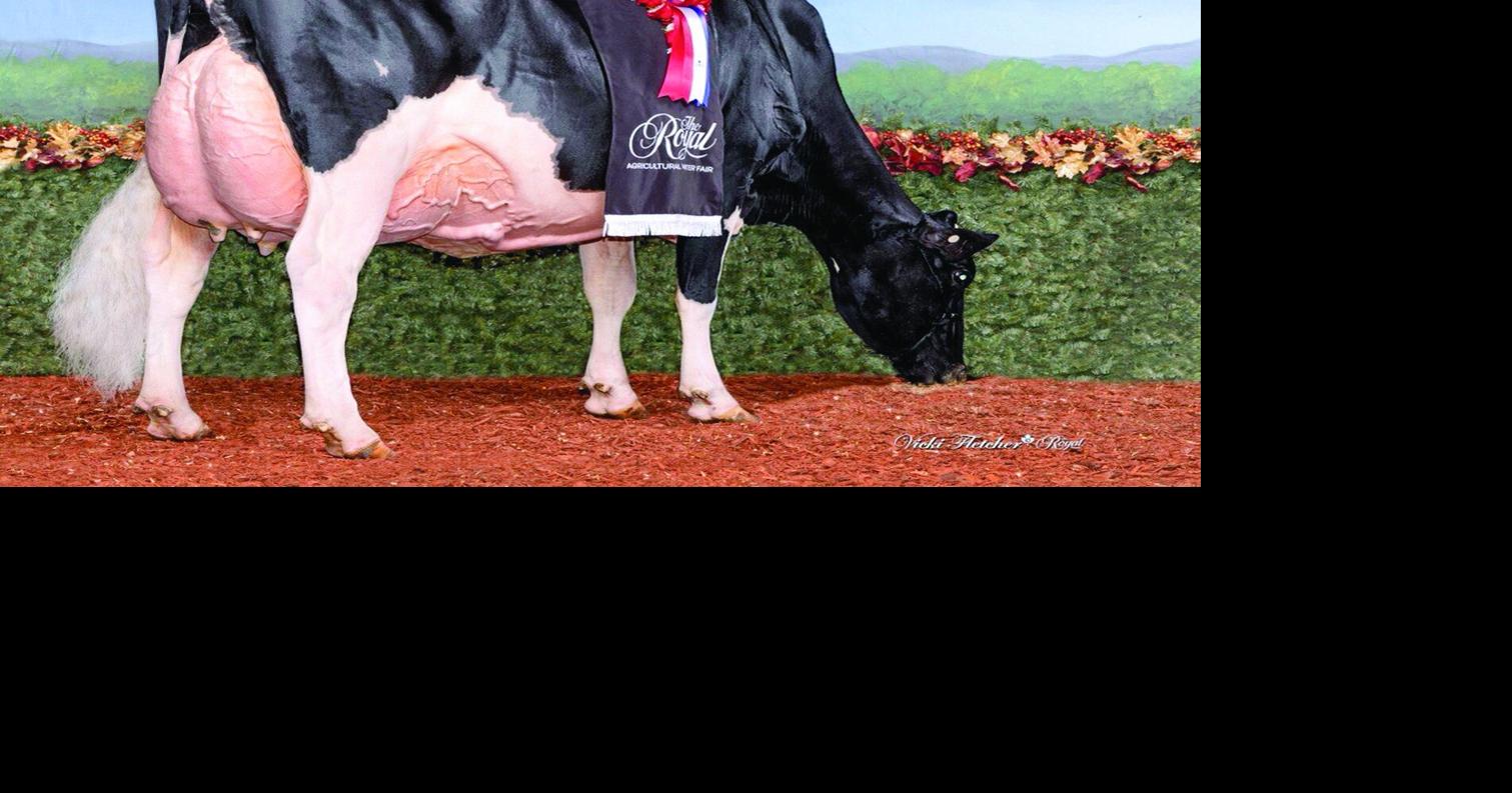 Jeffrey-Way Hard Rock Twigs Holstein Canada’s grand champ