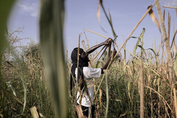 In Senegal, climate change is adding to historic tension between ...