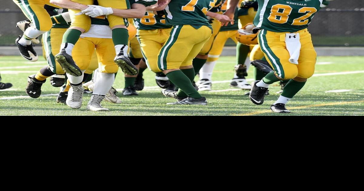 No football coach, so no team for Westdale this year