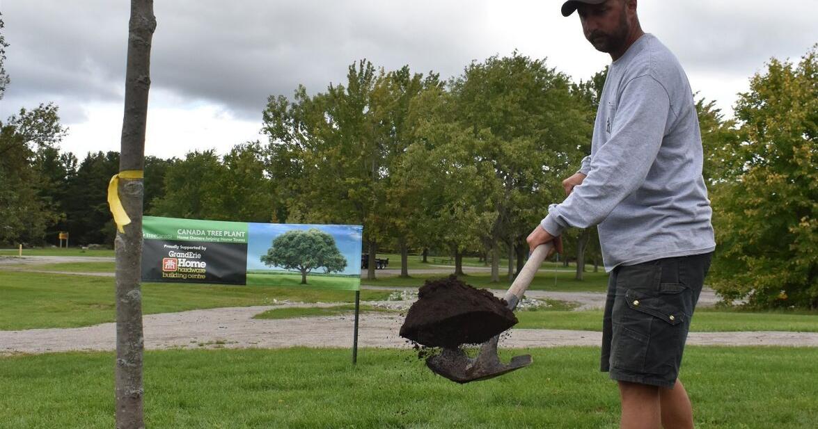 8 new trees planted in Byng Island Conservation Area
