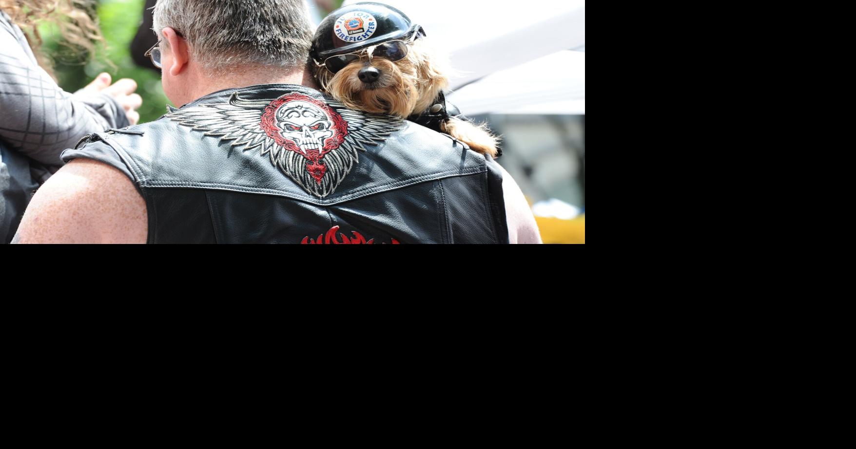 Do people really resemble their dogs?