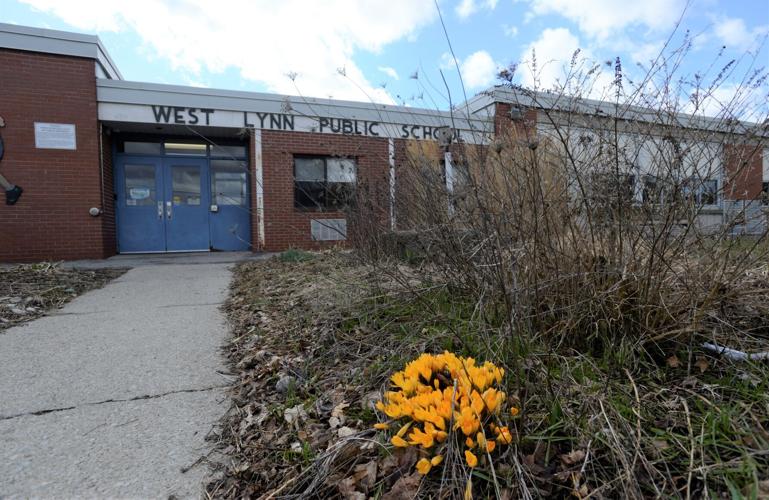 Numbers don’t add up on Simcoe school closure, parents say