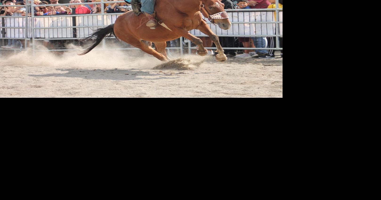 Dodge RAM Rodeo Tour, CBC's Peter Mansbridge at Binbrook Fair