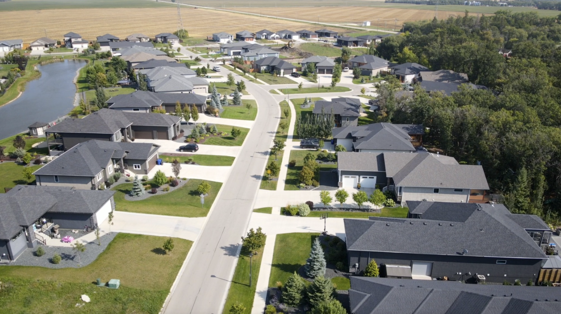 Springfield mayor says WMR exit disappointing but respects council’s ...