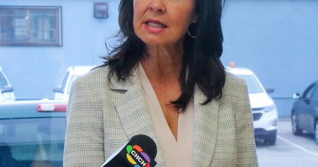 Hamilton MPP launches website to help small businesses amid pandemic