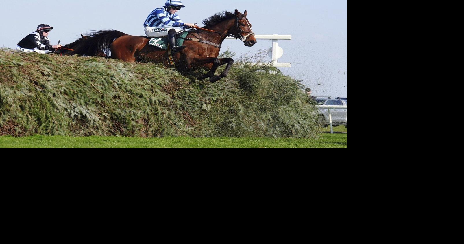 Father-and-son combination wins the Grand National as Nick Rockett ...