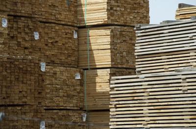 Forestry 'transition' sets off review of BC Timber Sales, province says