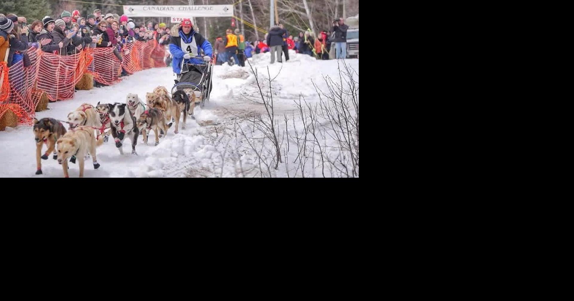 27th Canadian Dog Sled Race runs in La Ronge