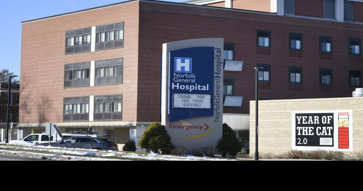 Shortstaffed Simcoe hospital forced to close ER again