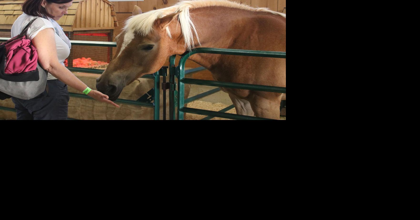 10 things to know about the 2022 Ancaster Fair