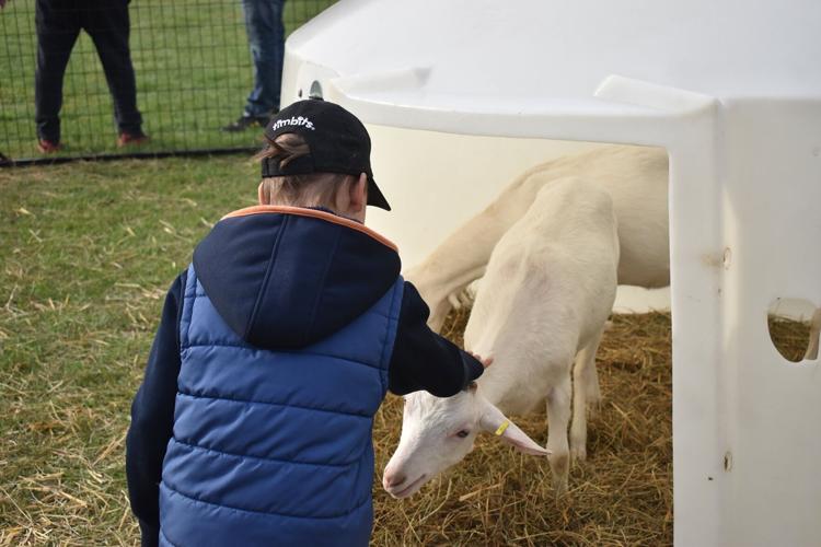Caledonia Fair marks 150 years