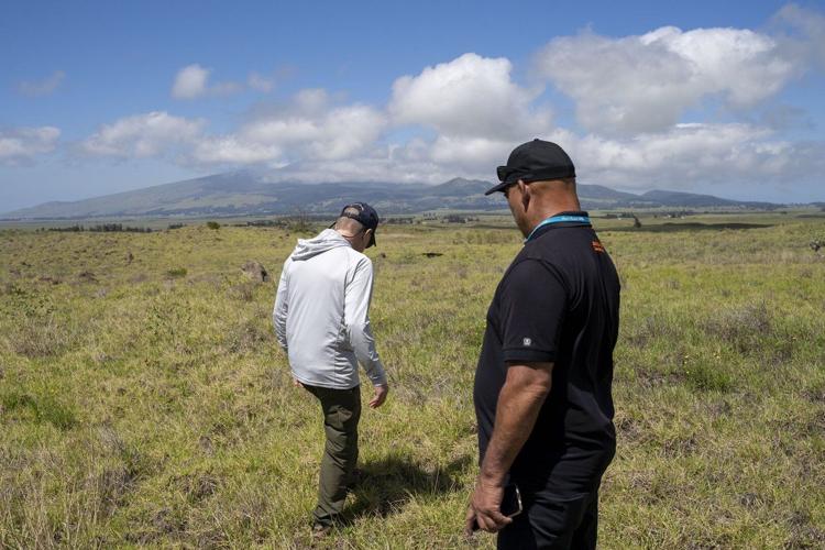 After Lahaina fire, Hawaii residents address their risk by becoming ...