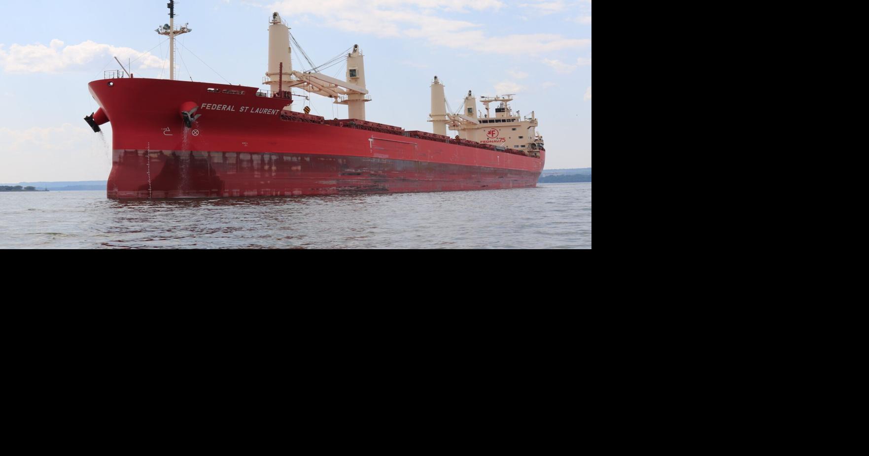 What came in and out of Port of Hamilton for May 11 to 17