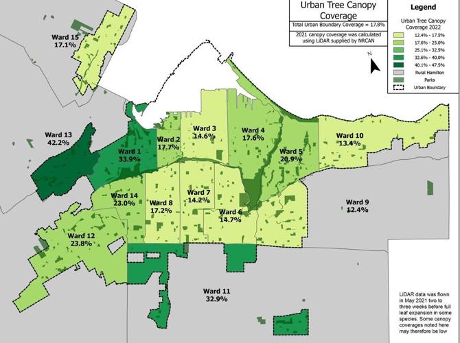 City tells developers to stop chopping down trees