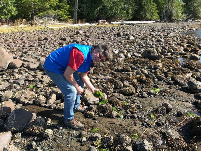 Exploring Haida Gwaii, Canada’s answer to the Galapagos