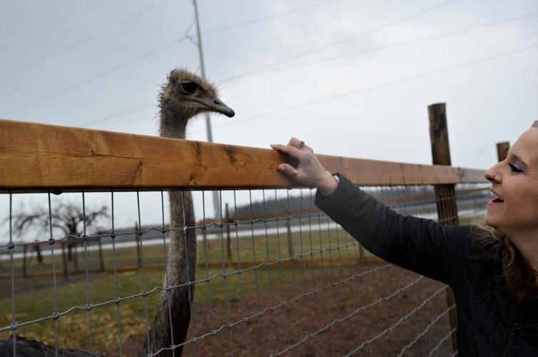 Family grieving after intruders brutally kill pet emu