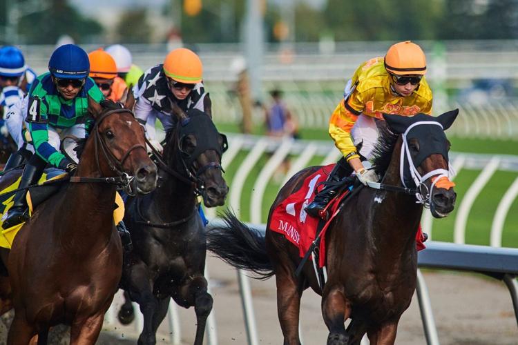 Plate champion Mansetti installed as early 2-1 favourite for Prince of ...