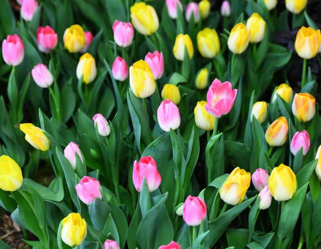 Hamilton-area Today: Local news this morning