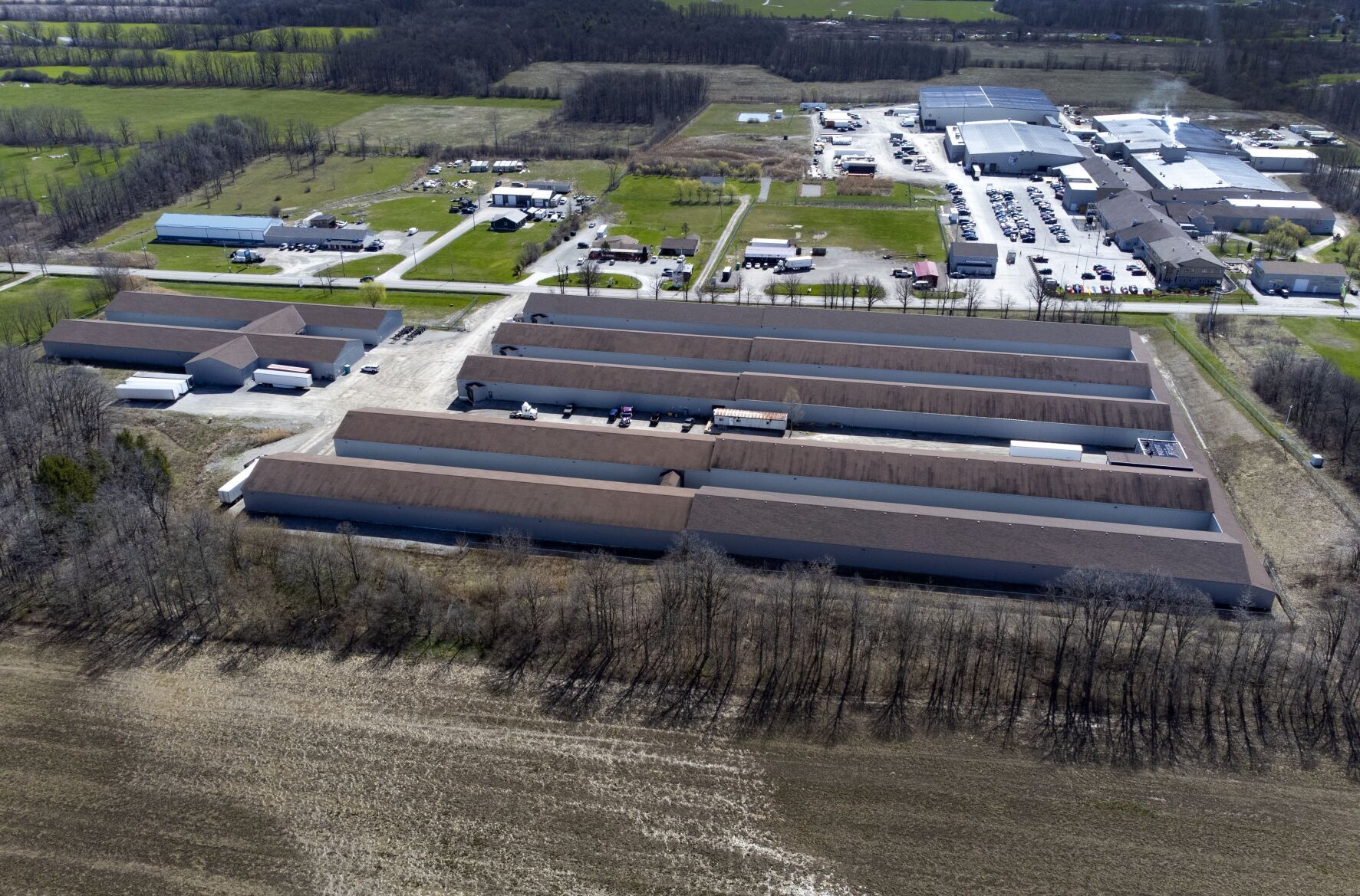 Court probes mysterious will left by GRE founder Ken Hill