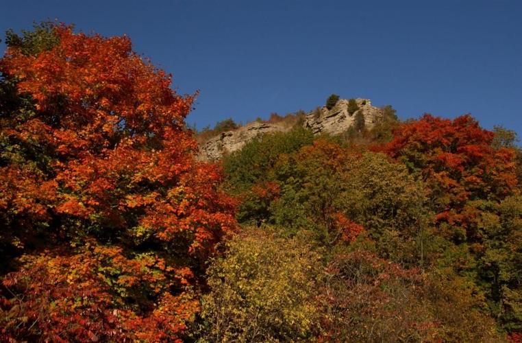 Seven great spots to see fall colours in Hamilton