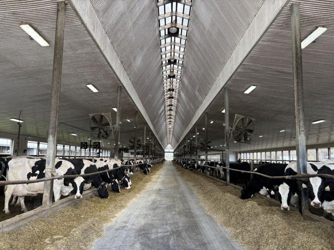 Summit Station Dairy gives city dwellers taste of farm life