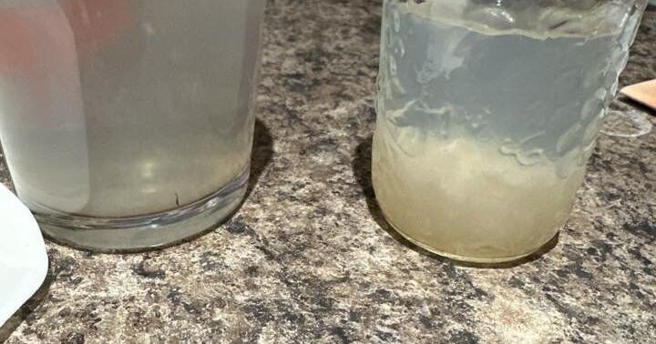 Striking workers, City of Hamilton spar over murky tap water