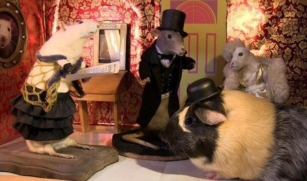 A Downton Abbey spoof with rats now a book - "Downton Alley, a Rat Tale ...