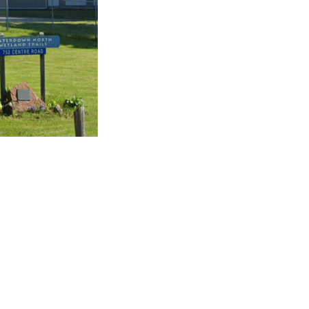 Help plant more than 300 trees at Joe Sams Park