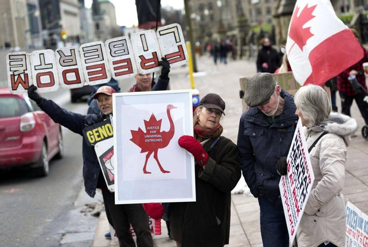 Months after B.C. ostrich cull, why does protest movement persist?