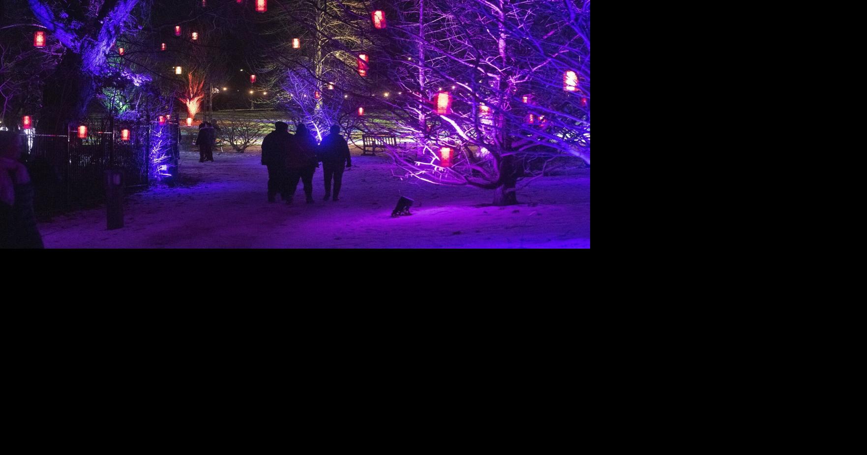 10 things to do this post-Christmas weekend in Hamilton