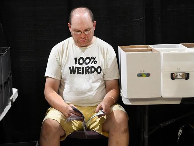 Hamilton Comic Con returns