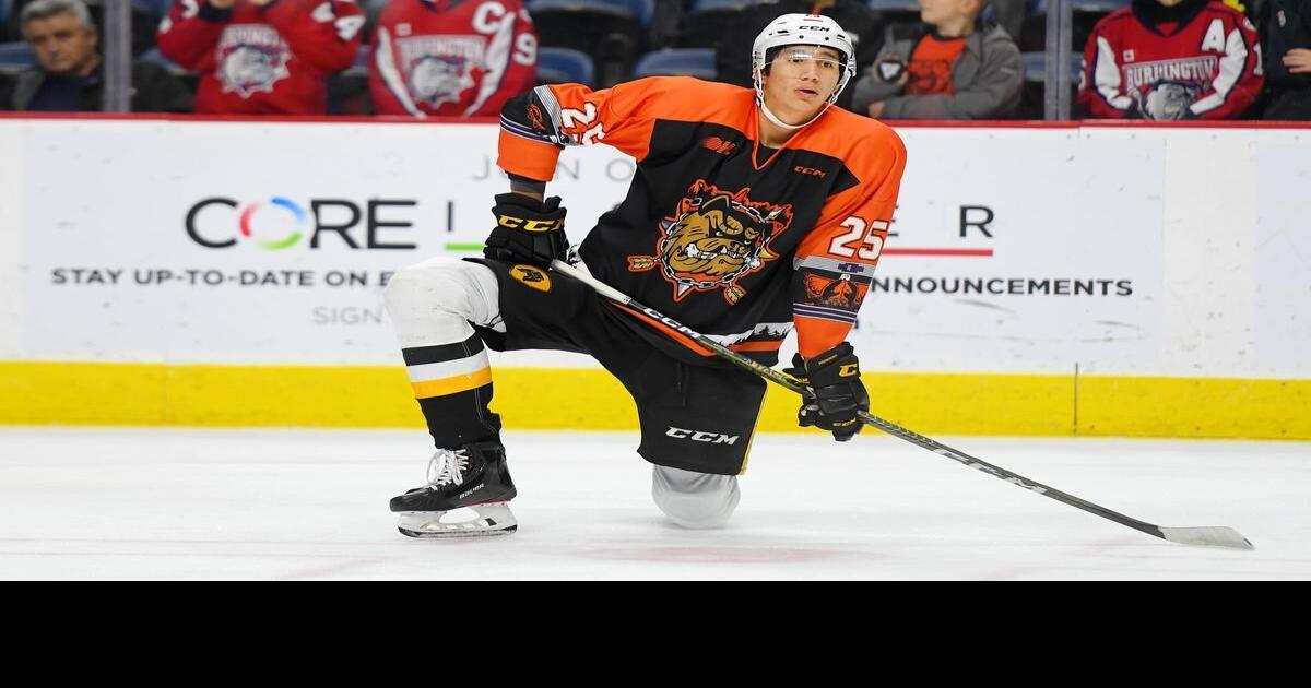 Hamilton Bulldogs warmup jerseys honour Indigenous community