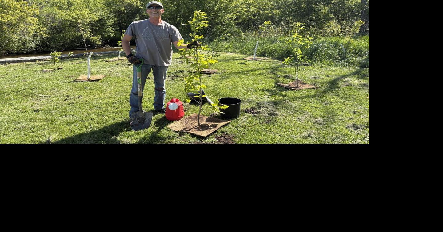 Lloyd Wilson Centennial Park is getting greener thanks to partnerships