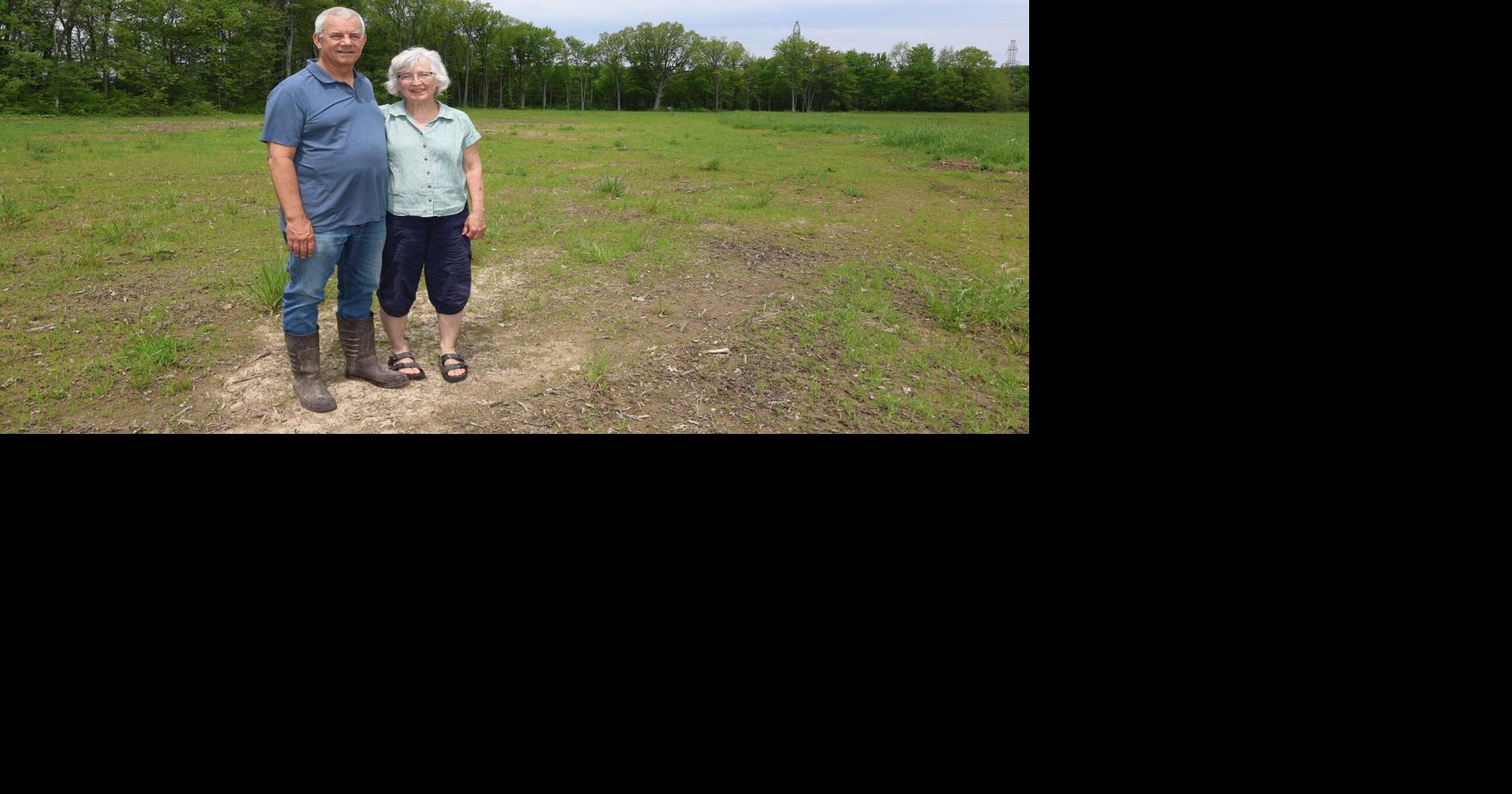 Ancaster farmers challenge city penalty for cutting trees