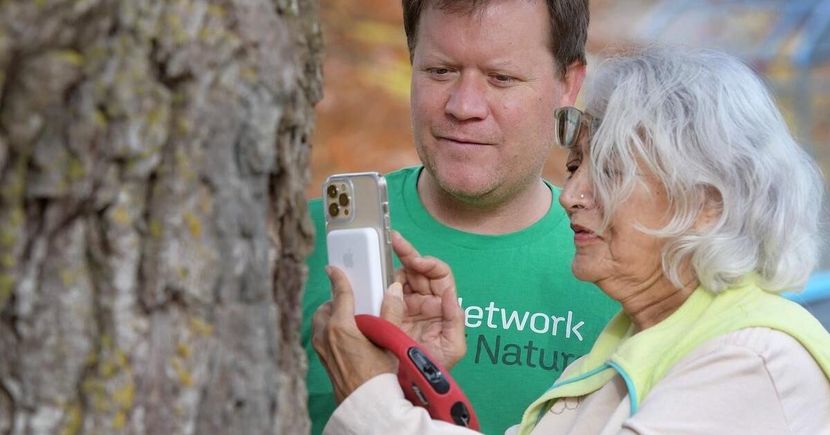 Augmented reality tour helps Hamilton residents ‘meet the trees’ in the ...