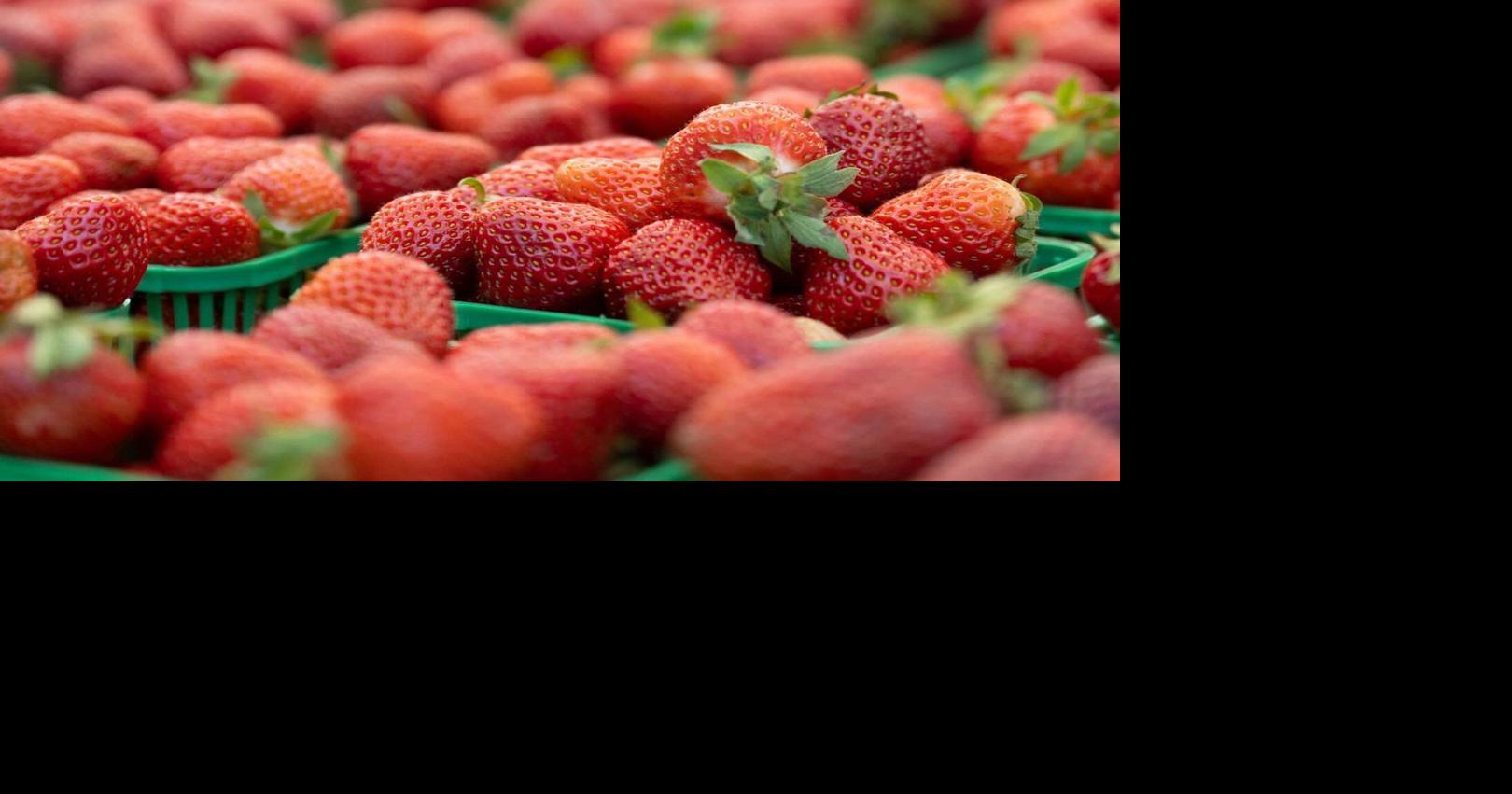 Strawberry Festival to celebrate its 40th anniversary on June 21