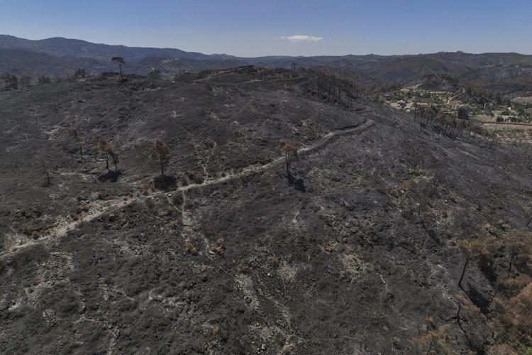 Syria's massive wildfires brought under control after days of intense ...