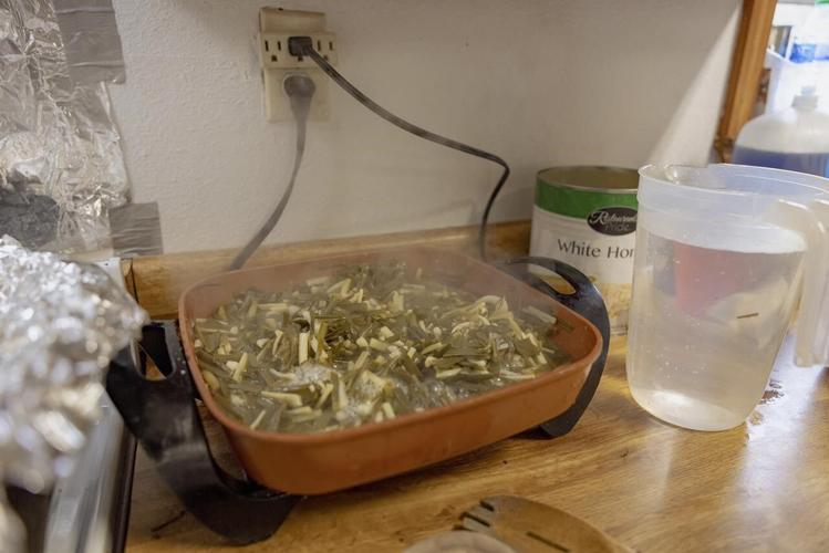 Wild onion dinners mark the turn of the season in Indian Country