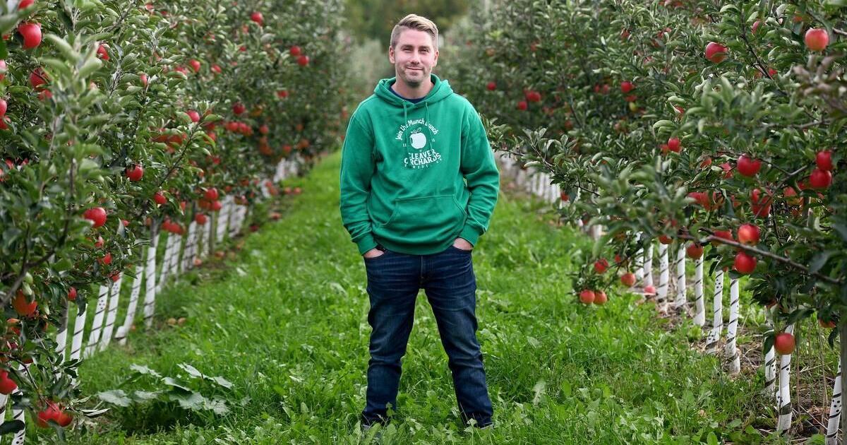 Sweet harvest: Simcoe apple orchard offers shoppers a taste of ...