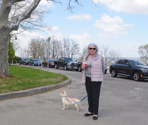 Critics say Sam Lawrence Park plan has accessibility flaws