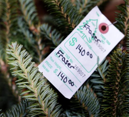Get’em while you can: Hamilton Christmas tree hunters scrambling amid ...